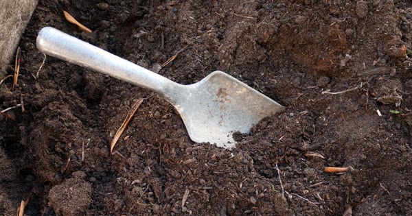 HiveQueen: Garden planning: Test your soil for lead