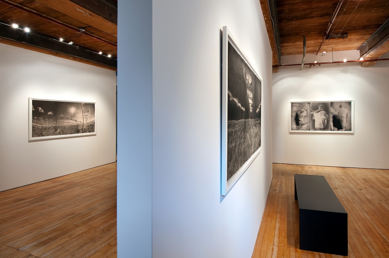 Photos from Paul Emmanuel: Transitions Multiples and Lynn Silverman at ...