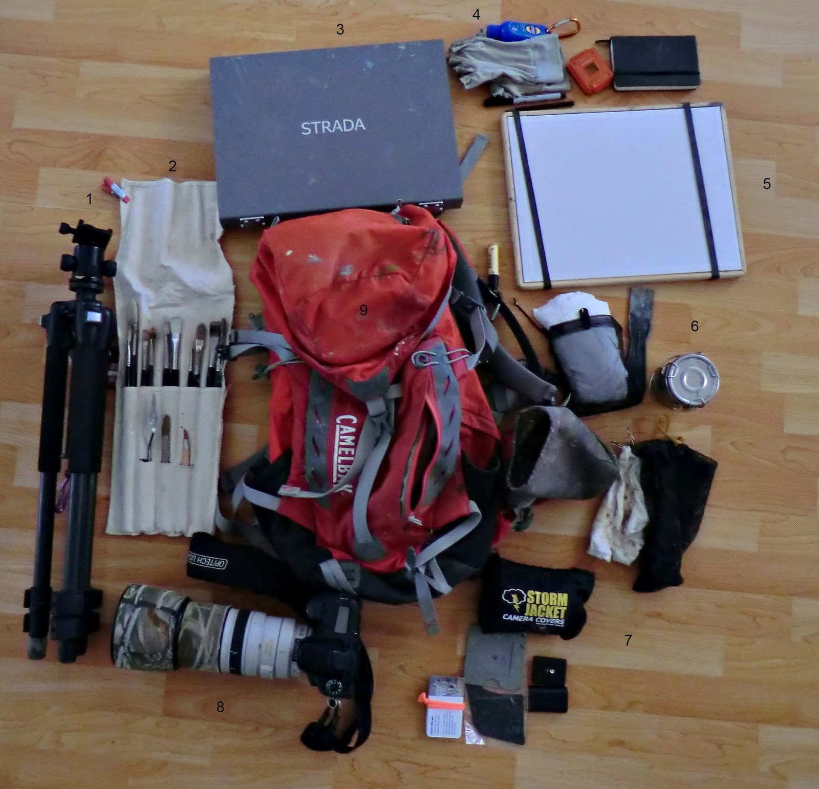 Karen McLain Studio: Plein Air Painting - Wild Horses