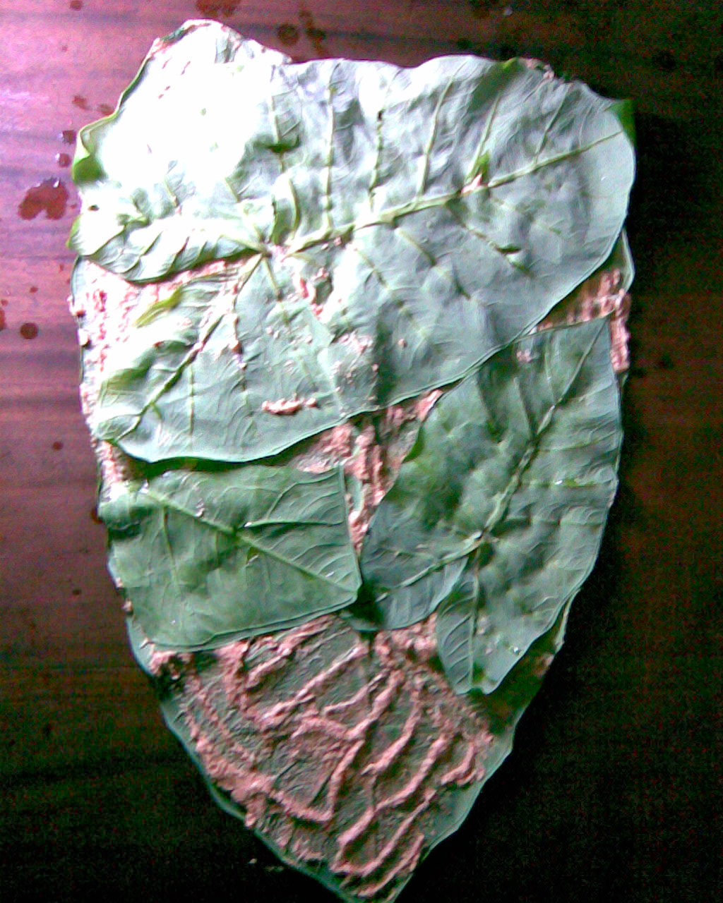 Mouthwatering Food Recipes: 98) PATRODO VERSION – A