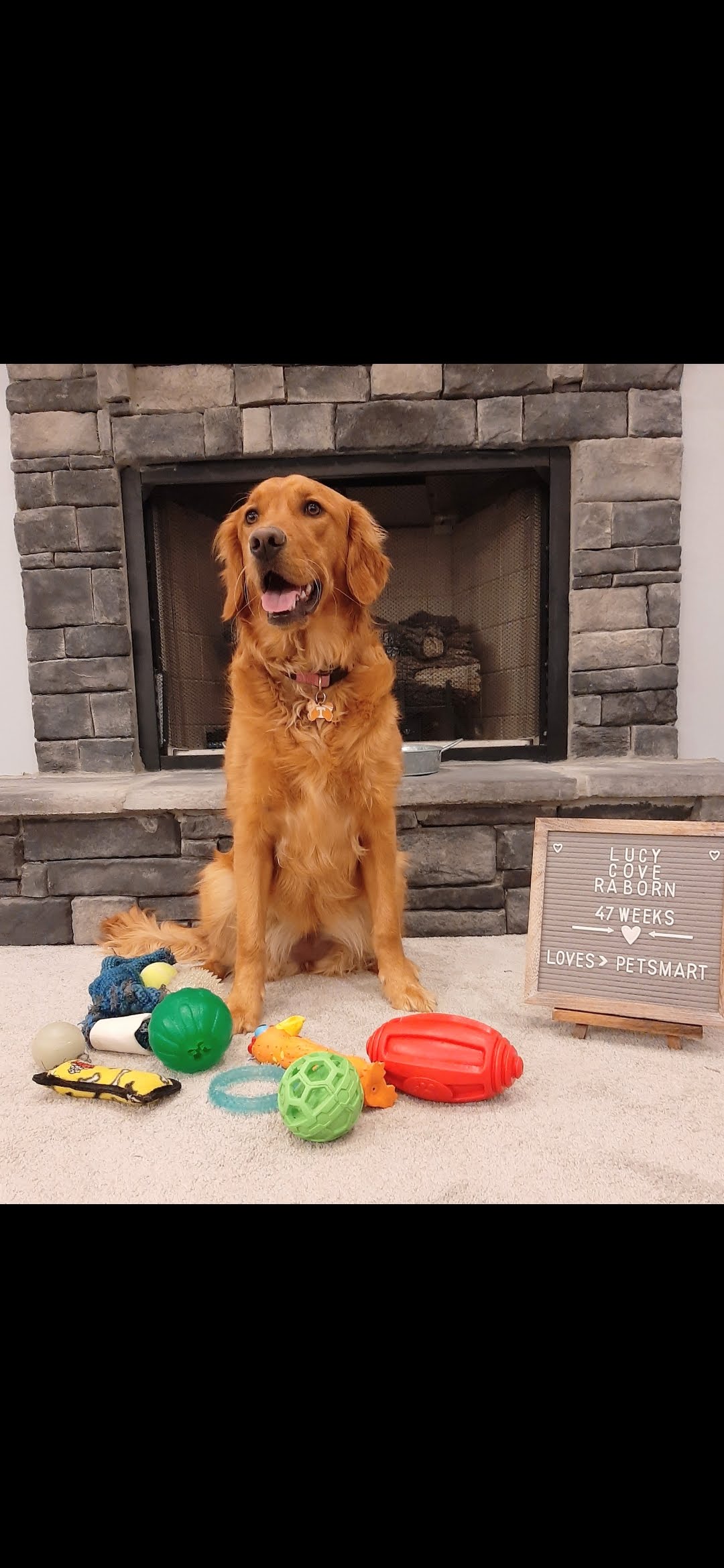 Newest Raborns on the Block!: Lucy Cove Raborn Growth Updates!