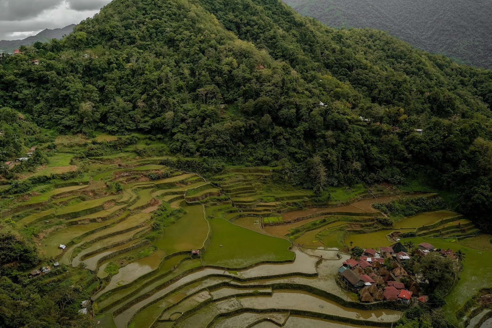 5 Surprising Things Travelers Don't Know About Banaue Rice Terraces ...