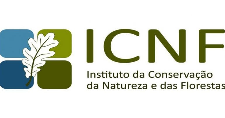 estado de Barrancos: ICNF recruta 25 postos de trabalho de TS ...