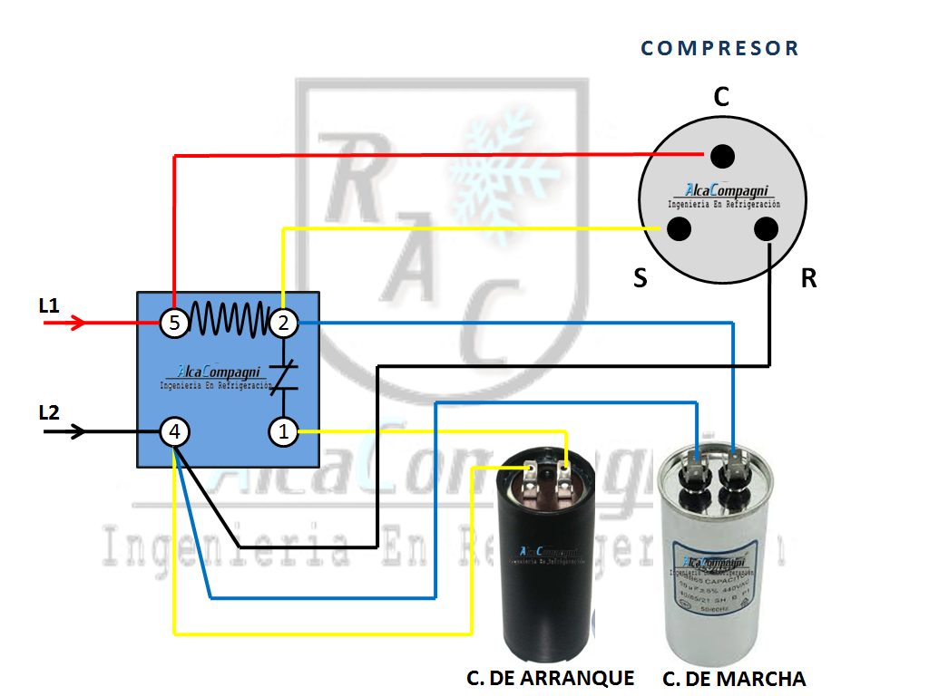 RELÉ POTENCIAL ~ AlcaCompagni