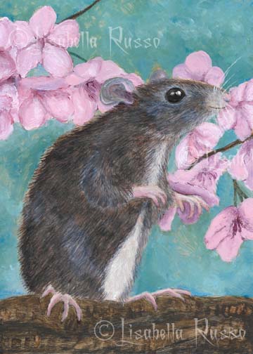 the Fine Art and Ramblings of Lisabella Russo: Original Sanguine Rat ...