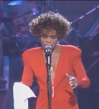 Whitney Within: Whitney Houston - Dress and Handkerchief Biblical Colors