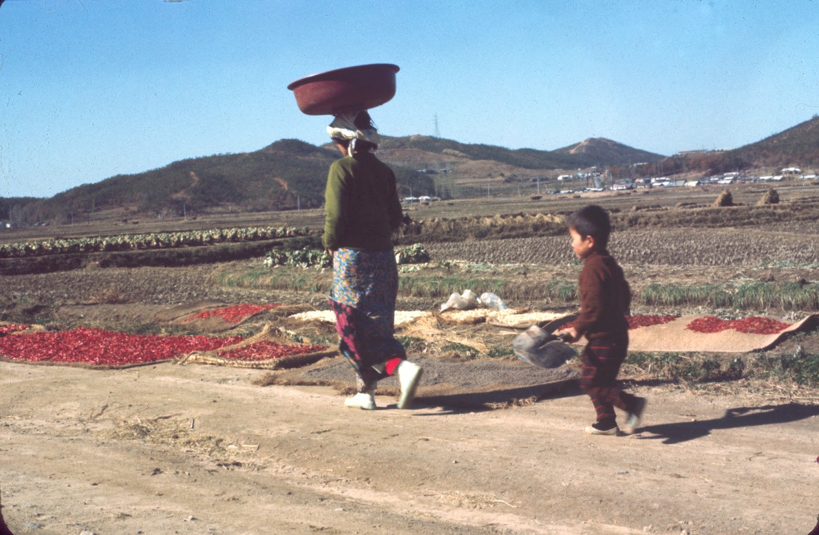 35 Fascinating Color Photographs That Capture Everyday Life in Korea in ...