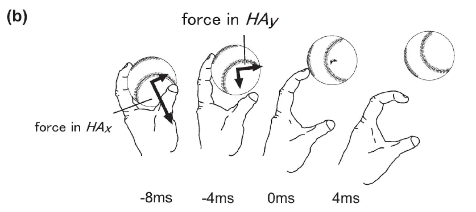 Dr.6（劉又銓醫師）運動醫學專科: The overlooked finger injuries in baseball athletes