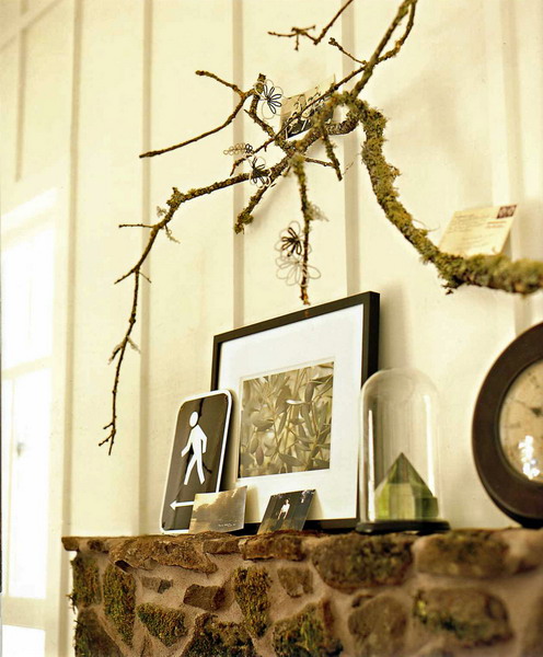 Tree Branches Ideas To Decorate Your Interior ~ AllThingAbout