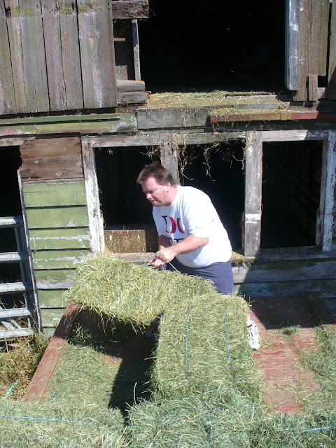 MORE KIDS THAN SUITCASES: Still Settling on Spring