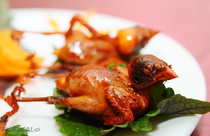 BÁN BUÔN - BÁN LẺ CHIM SẺ ĐỒNG