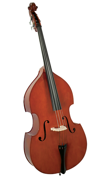 Bajo Acústico y Eléctrico ~ Instrumentos Musicales del Siglo XX