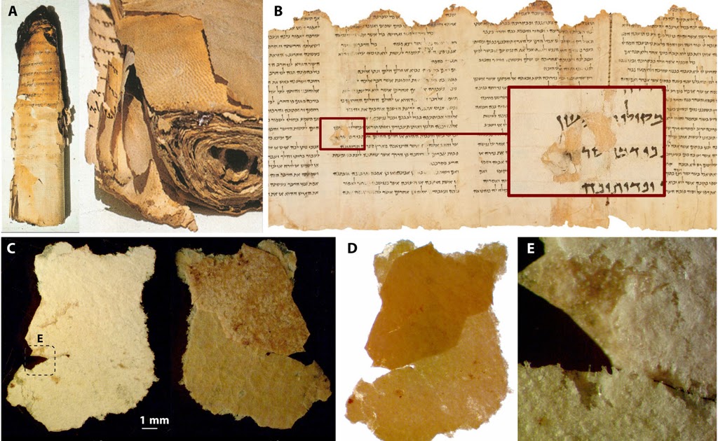 New informations about the Dead Sea Scrolls