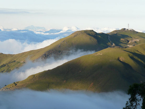 Every Day Is Special: August 30 – Popular Constitution Day in East Timor