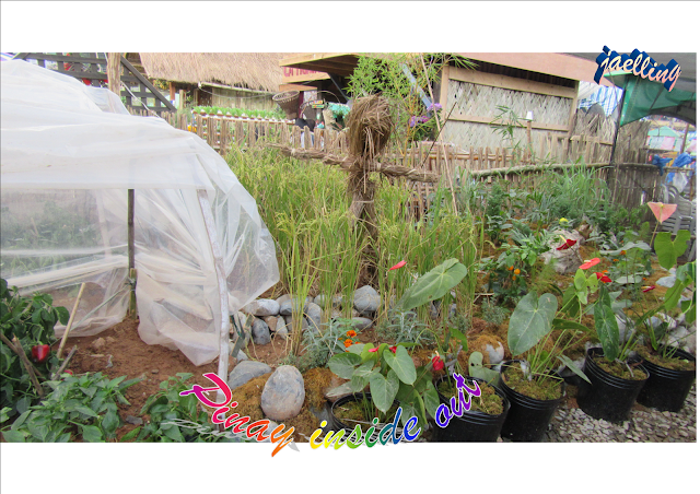 Booth of Kapangan, Benguet - Adivay 2015