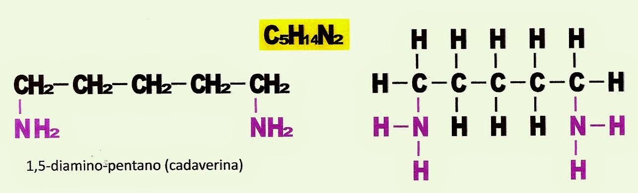 Aprendendo quimica on-line: Aminas