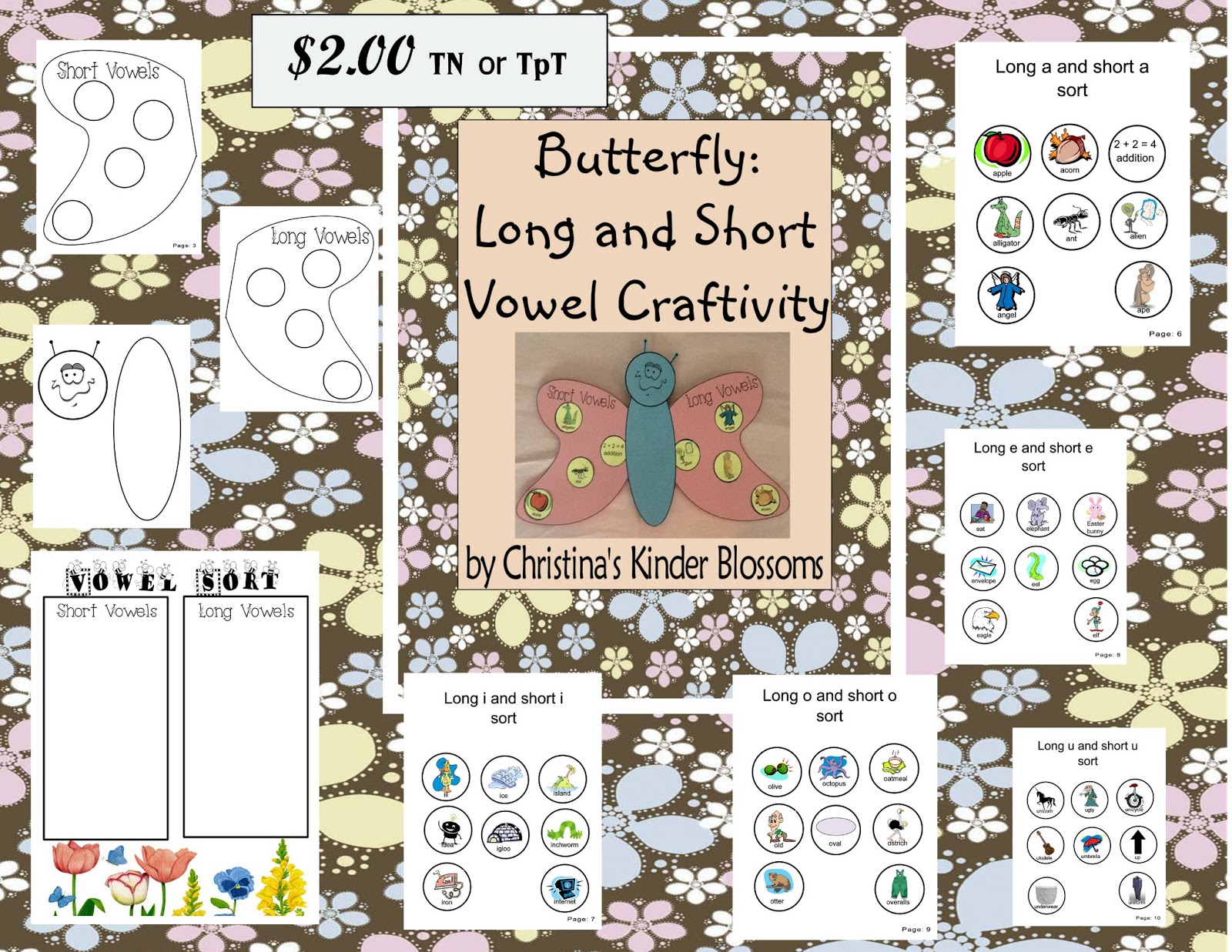 Christina's Kinder Blossoms: Long Vowels Review Activity