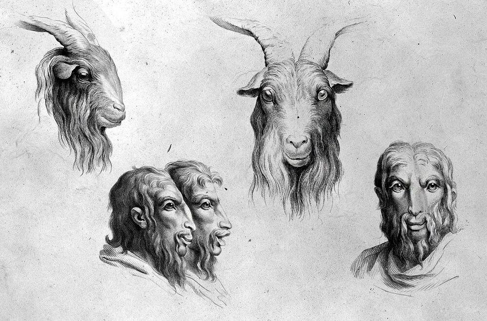 Design Stack: A Blog about Art, Design and Architecture: Animal ...