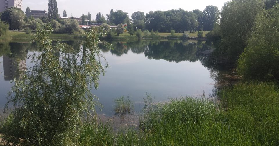 СКАНДАЛНО: Правят още три строежа на езерото в "Дружба" 1