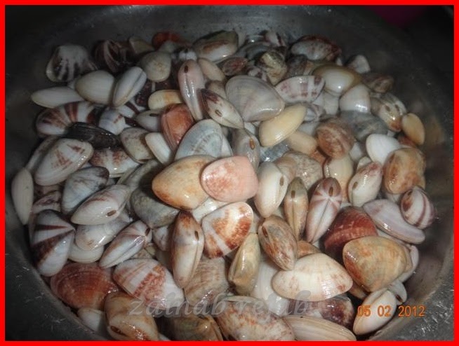 PHOTOGRAPHY, SNAP AND SHARE: cari siput remis di lumut