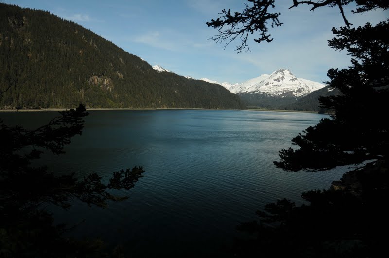 Prescription: Trout: Tutka Bay Overnight