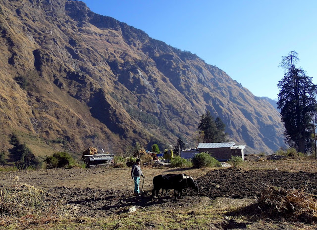 It Was One Worthy Trek To Kalpeshwar