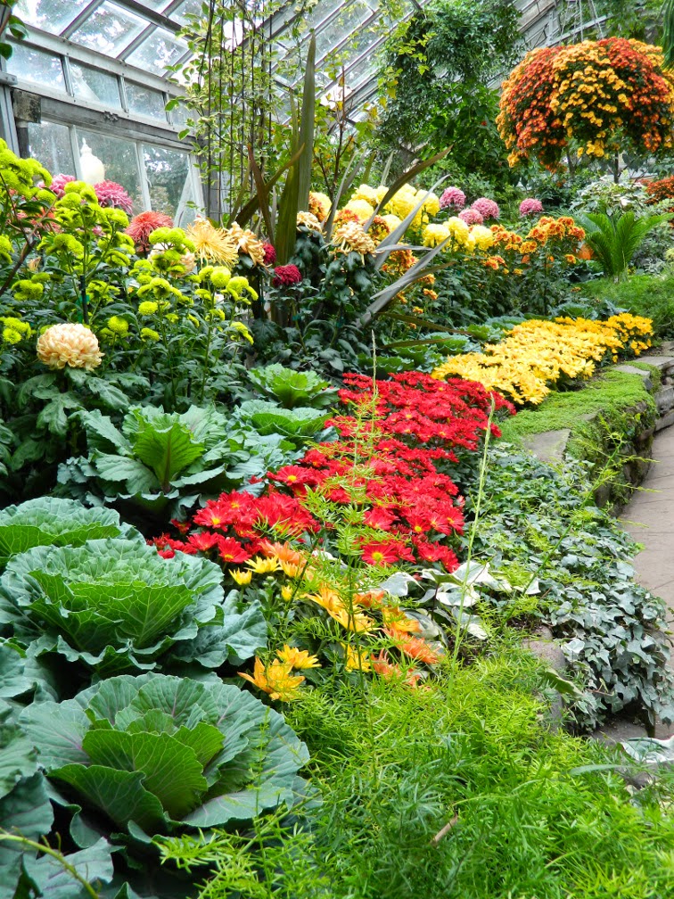 Garden Muses: A Small Toronto Gardening Services Company Blog: October 2014