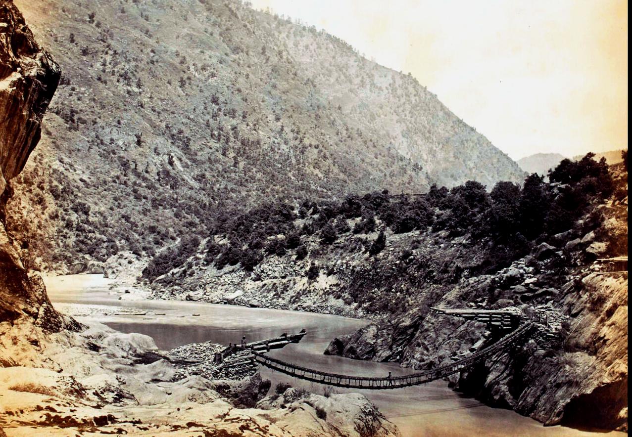 CHINAR SHADE : November 2020