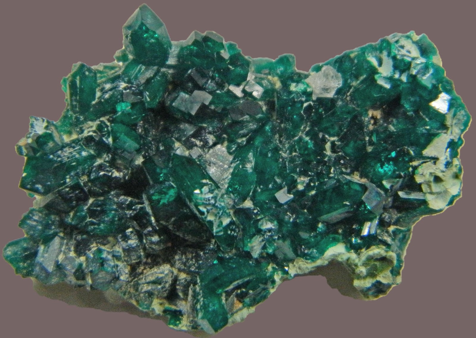 CSMS GEOLOGY POST: DENVER SHOW: DIOPTASE BEST $2 MINERAL