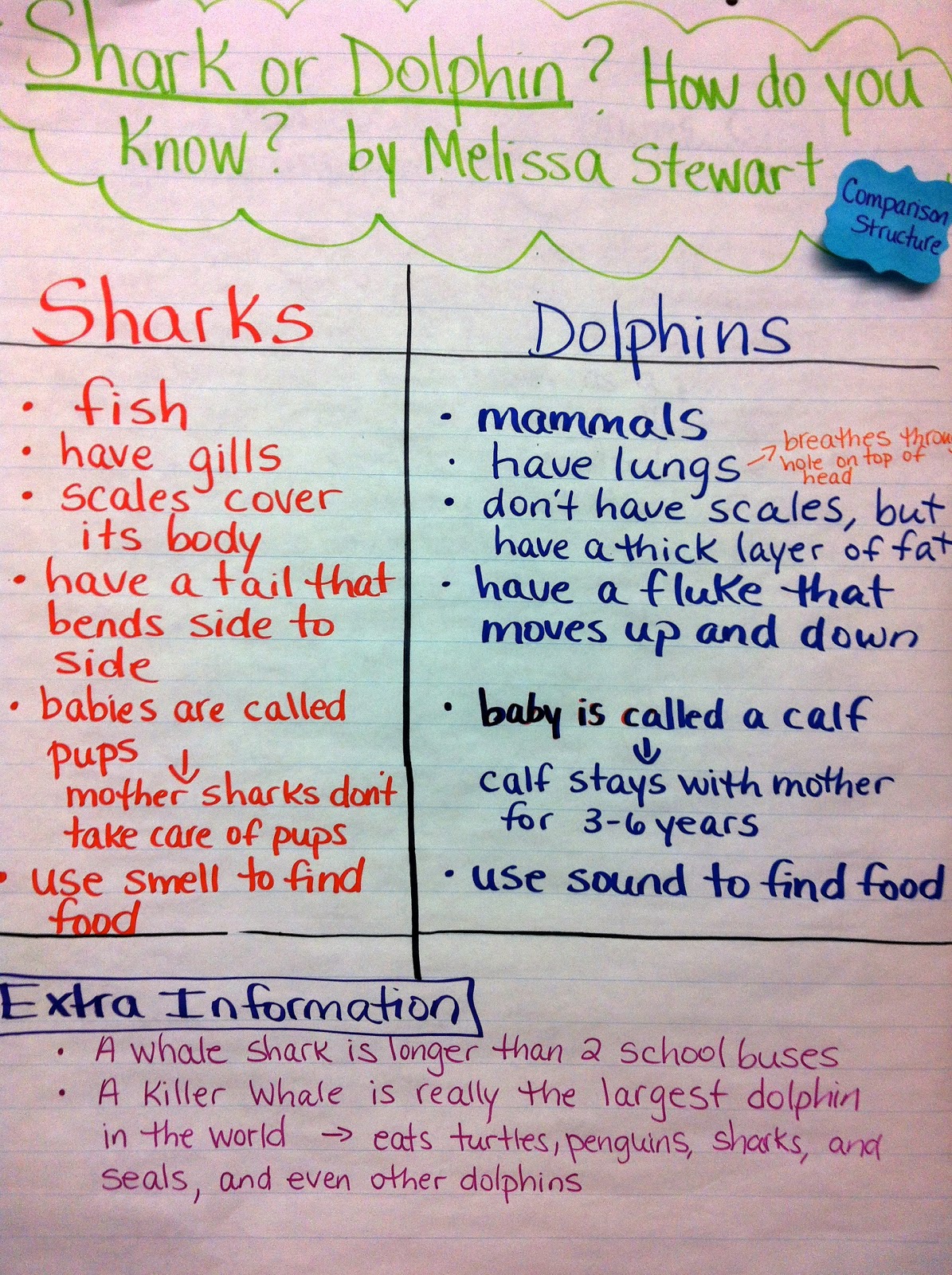 Two Reflective Teachers: Bulletin Boards and Charts