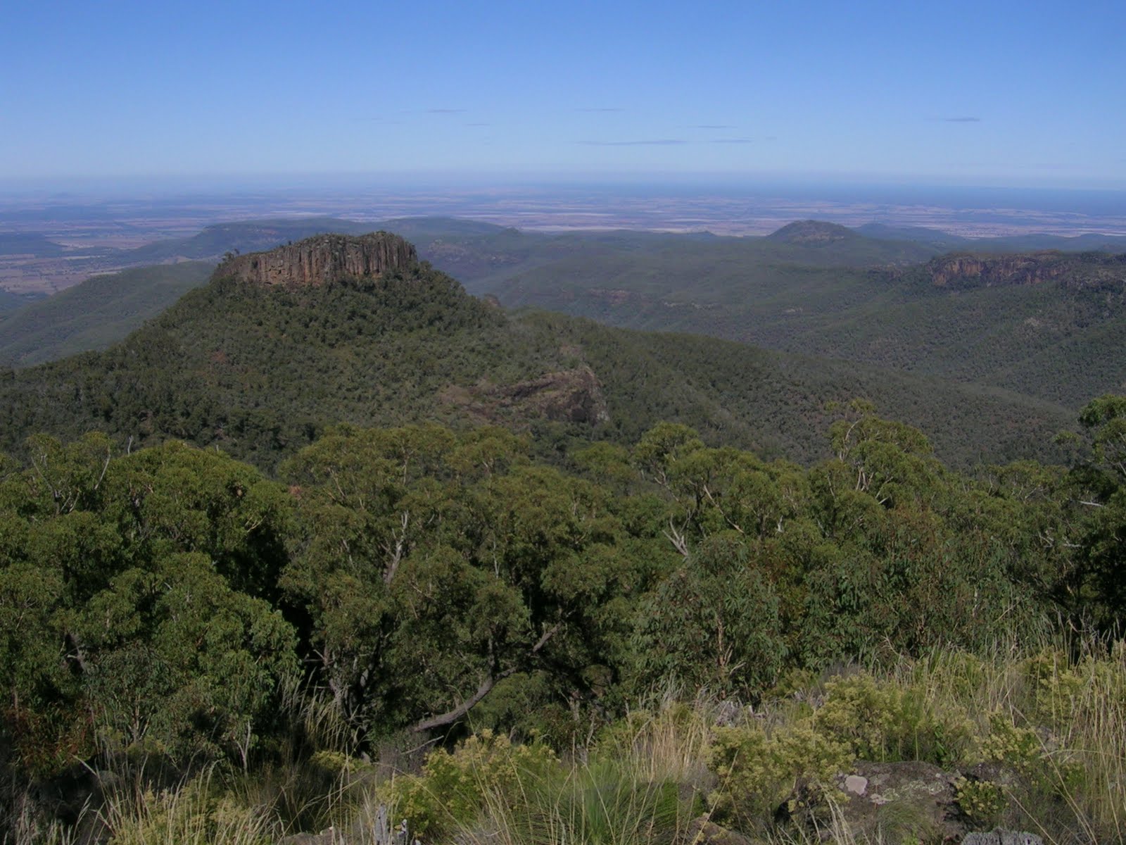 Nicholstone Travel Diary: Narrabri