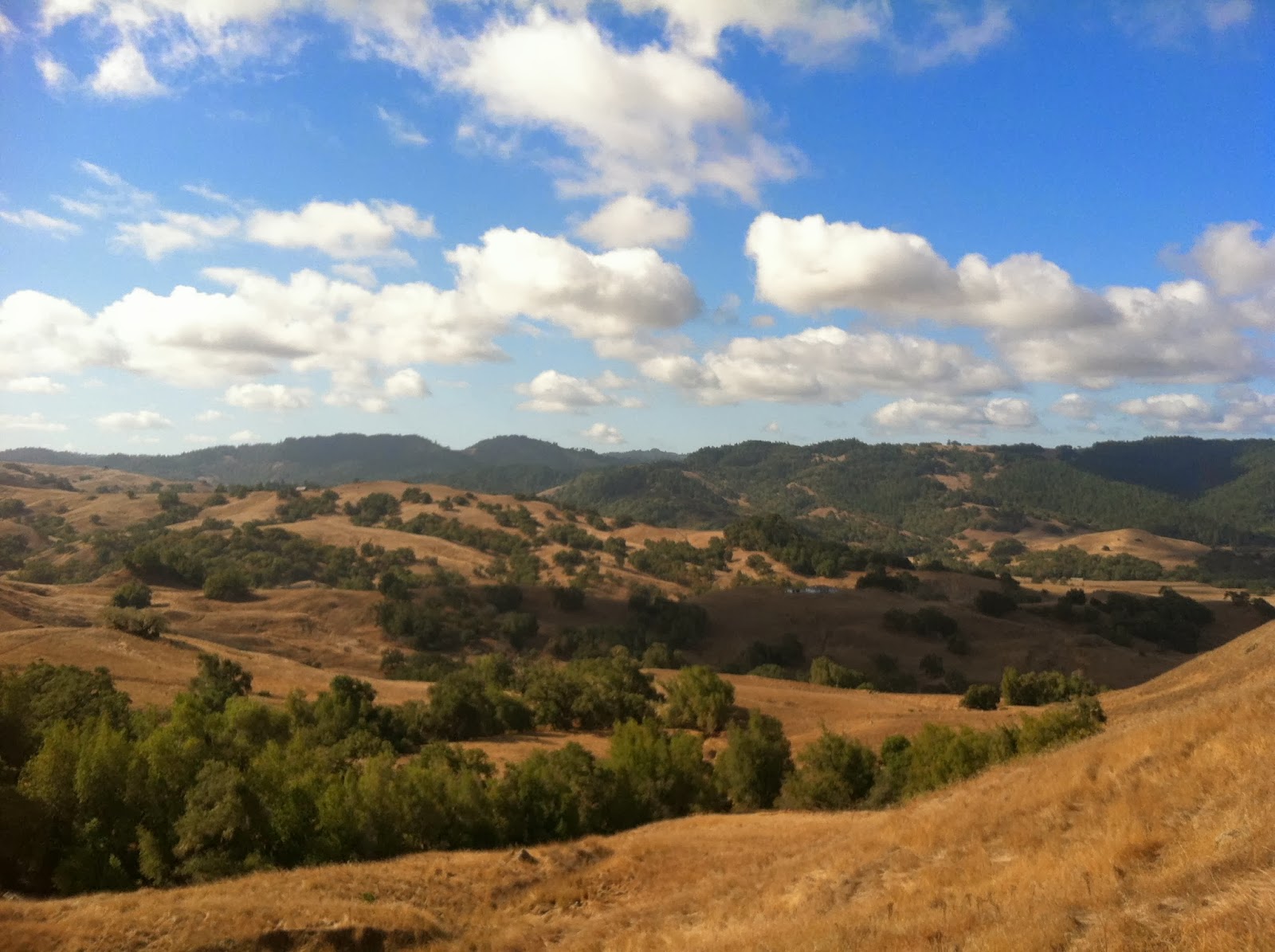 and more California landscape...