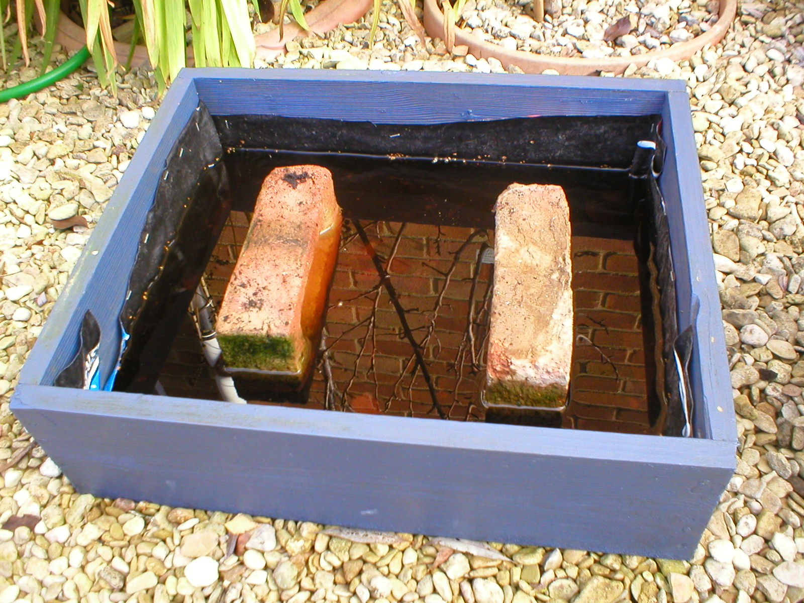 Rachel the Gardener: 100% Slug Protection.