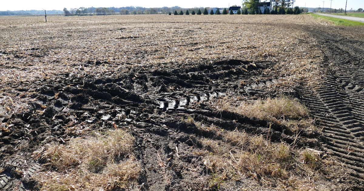 How soil compaction impacts fertilizer decisions