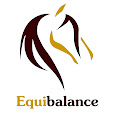 Equibalance