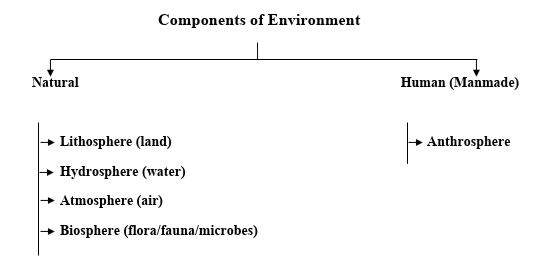 CONCEPT OF ENVIRONMENT - Geography To All