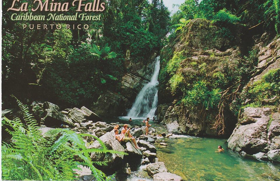 Postcard Addicted. Cat Lover.: Puerto Rico. La mina falls. One of the ...