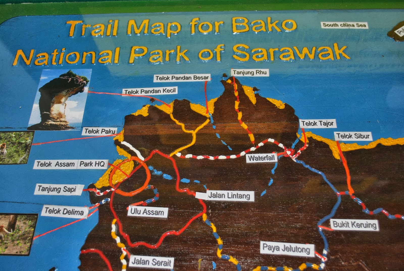 SuZiHaNiz: SARAWAK : TAMAN NEGARA BAKO