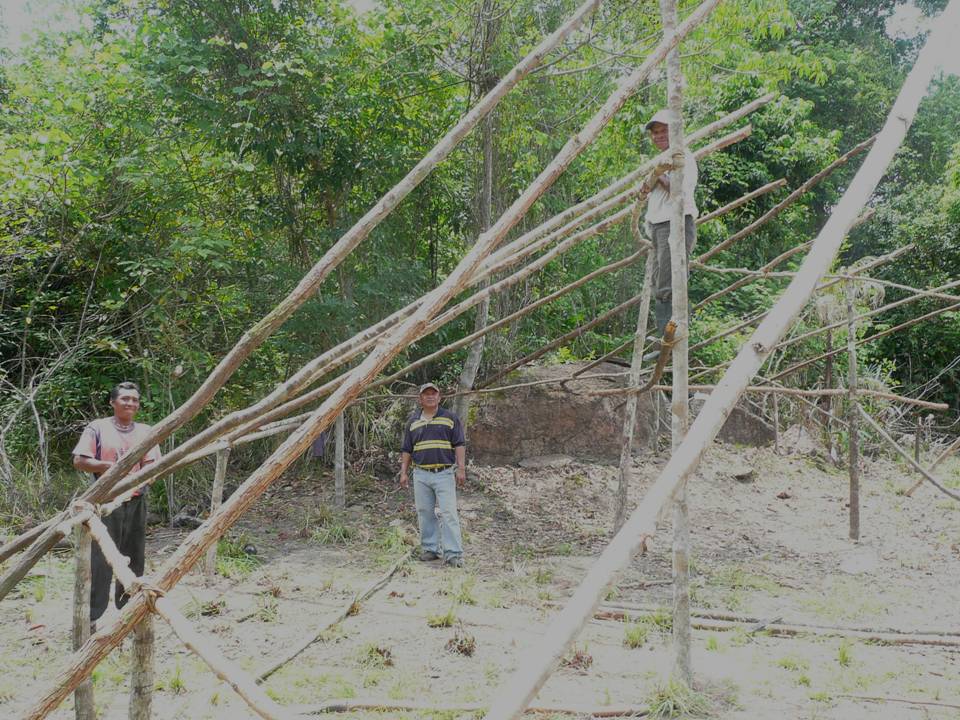 ARQUITECTURA INDÍGENA: CONSTRUCCION DE UN SHABONO YANOMAMI or "Making ...