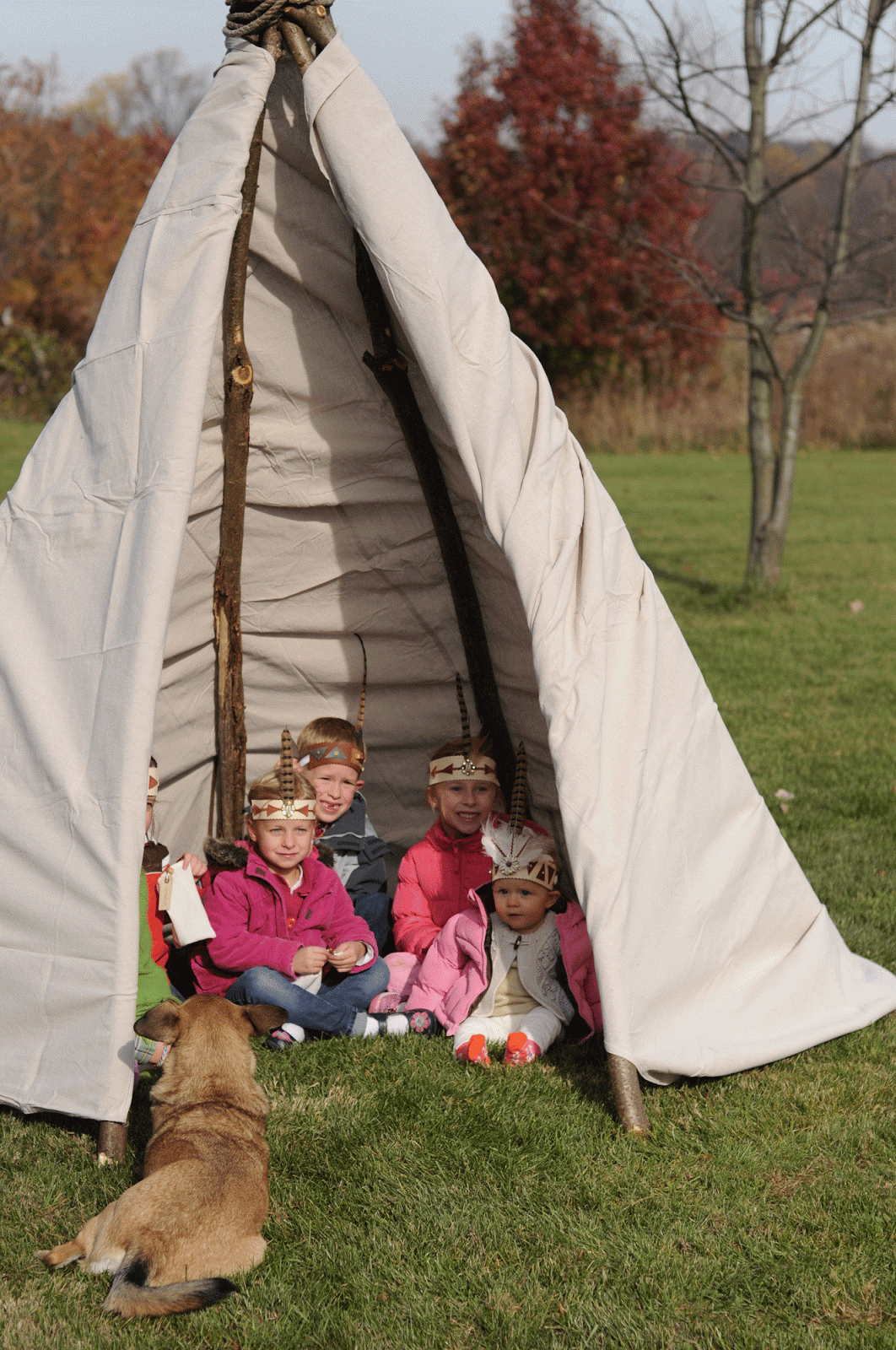 turtle bunny love design