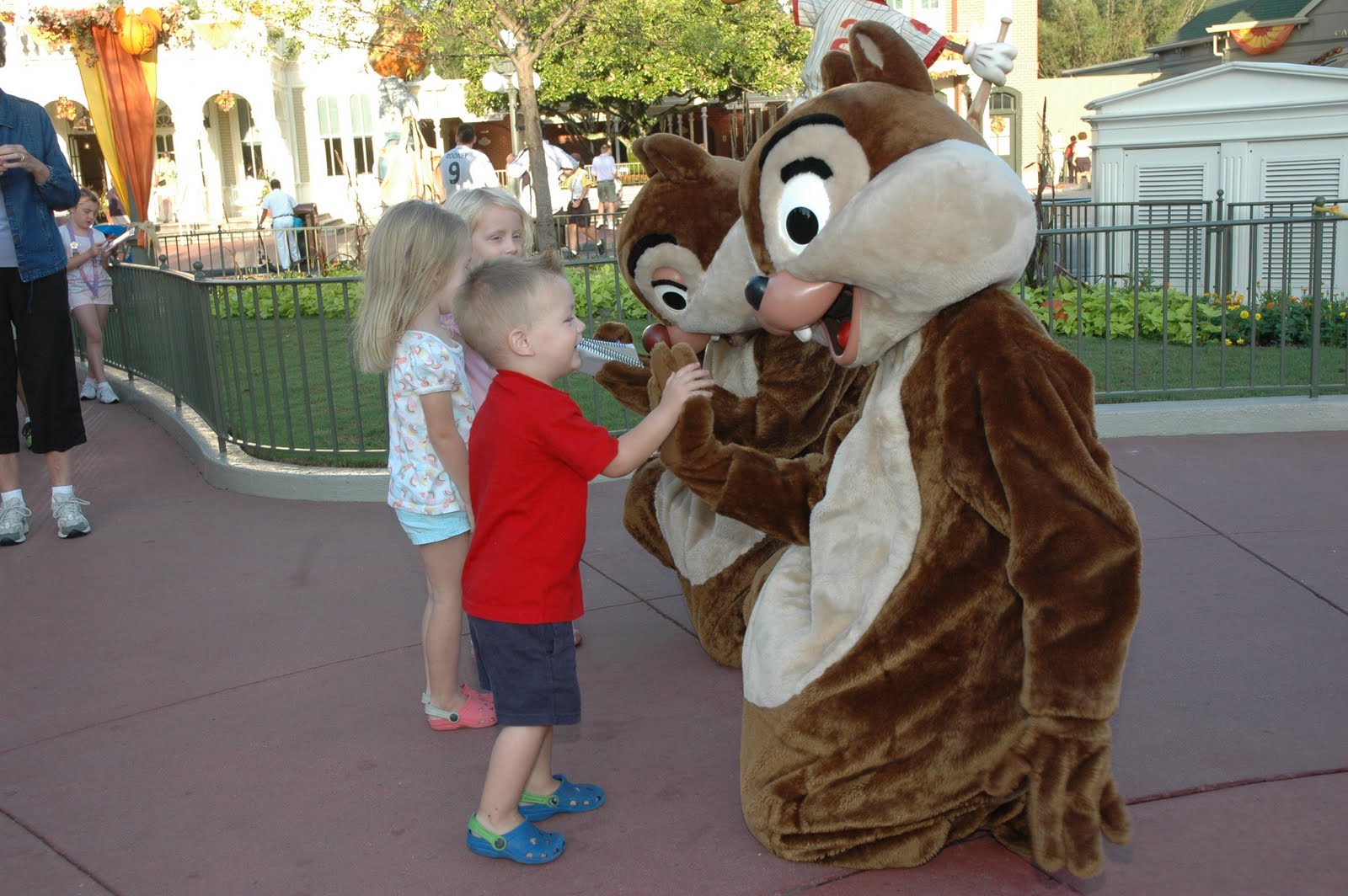 Disney Character Collection: Random Characters in Magic Kingdom