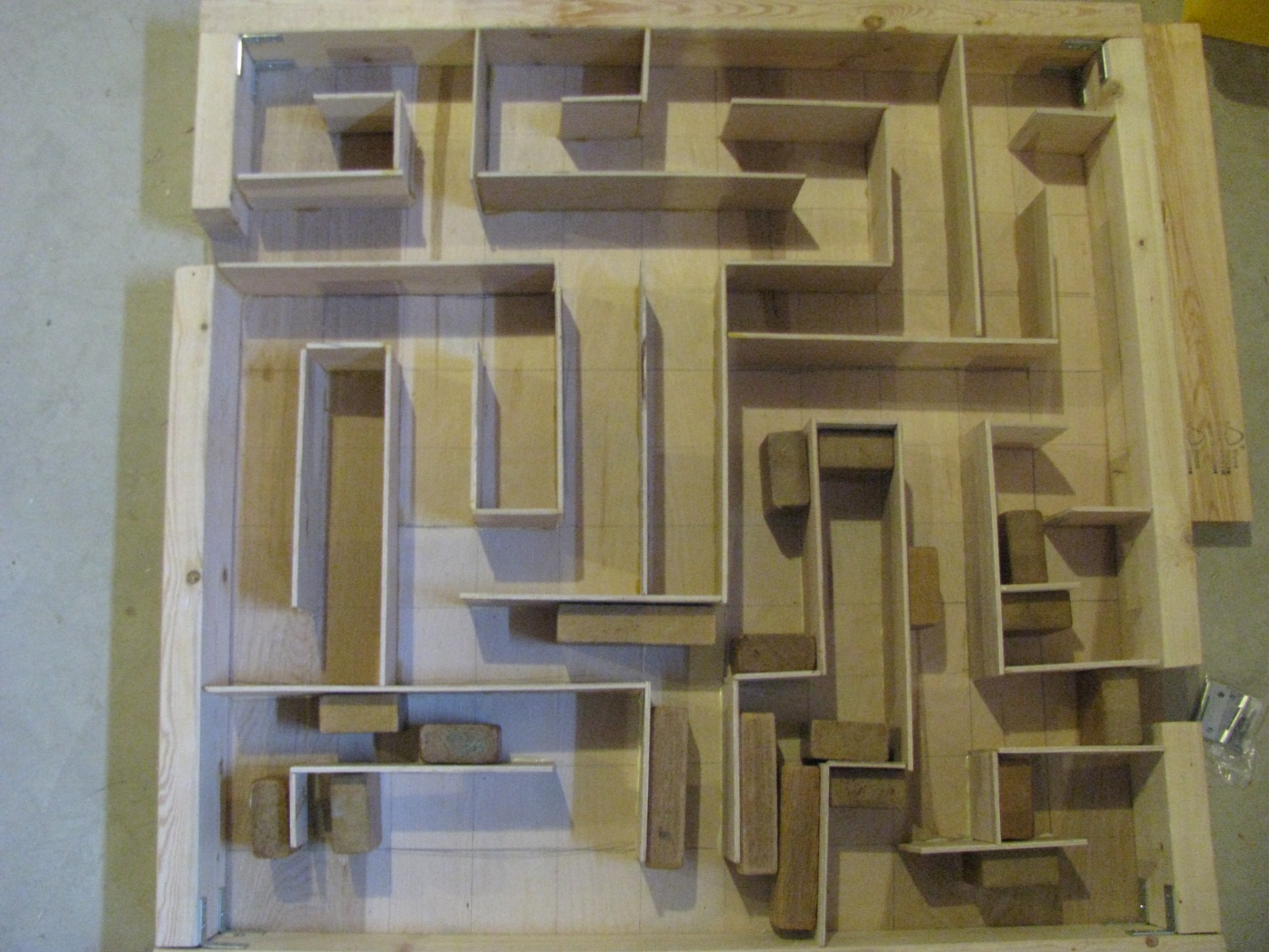 Project Mouse Maze: The Story of the Maze