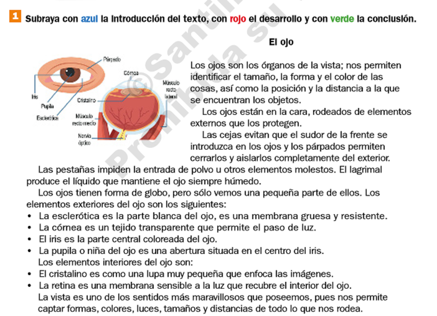 Cuarto Grado 2020 2021: Español.- Partes de un texto expositivo