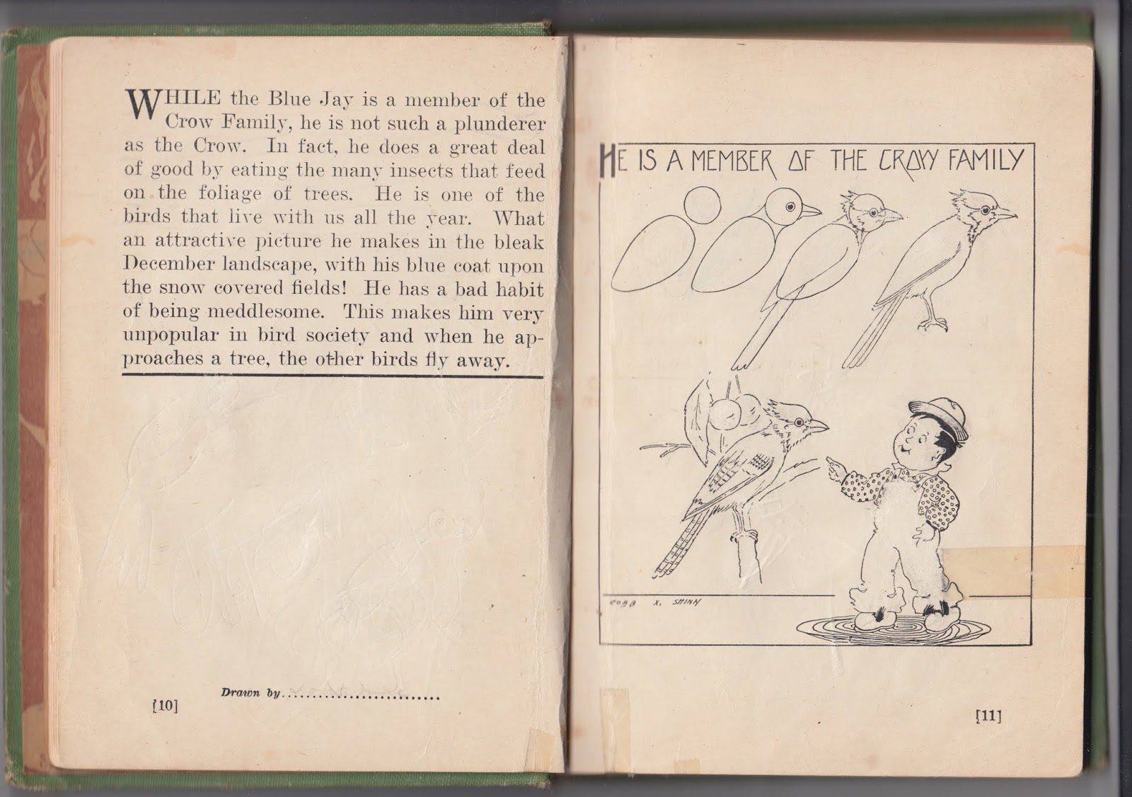 Cobb Shinn: Easy Drawing Primer