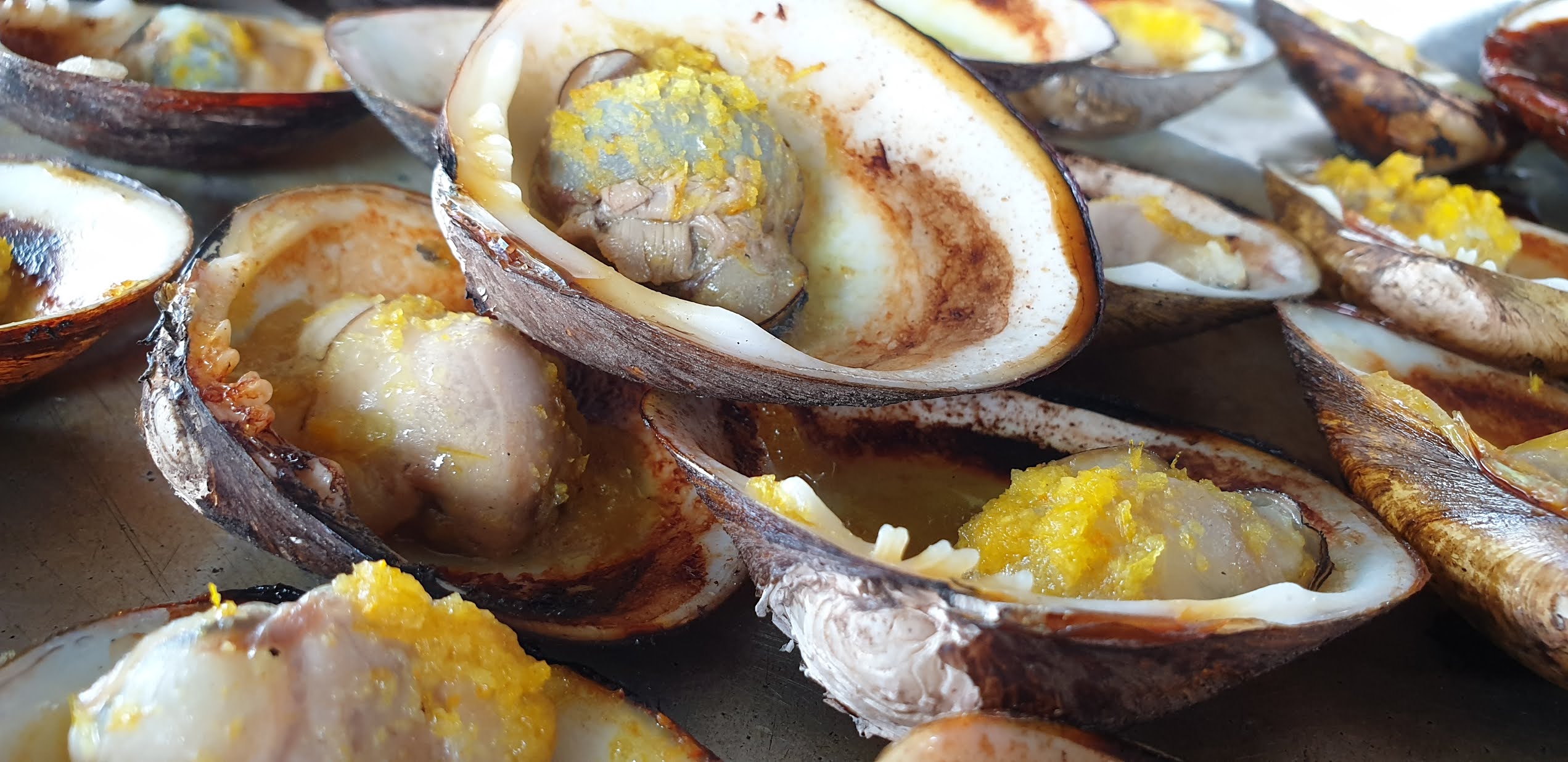 Makan Lokan Sedap di Gerai Kelapa Bakar Kak Tini (Lokan Bakar & Puding ...