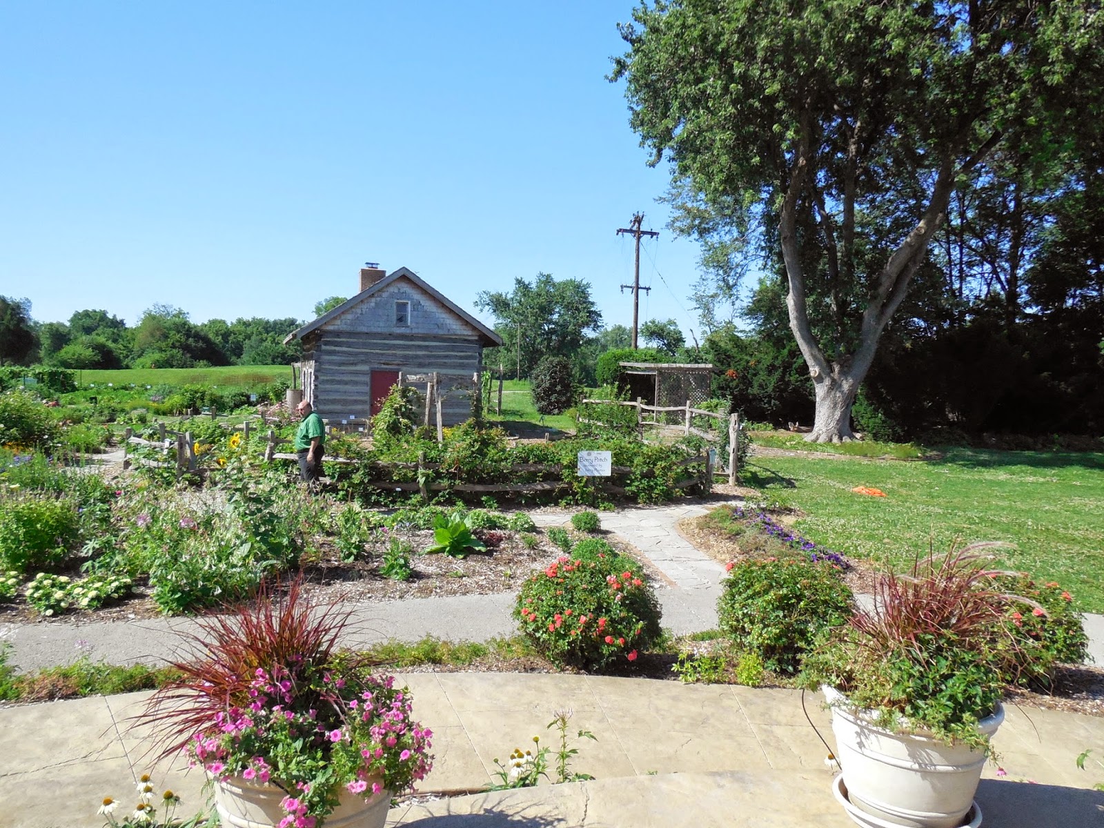 Community Backyard: Why to get or use a Community Garden or a Patio Garden?