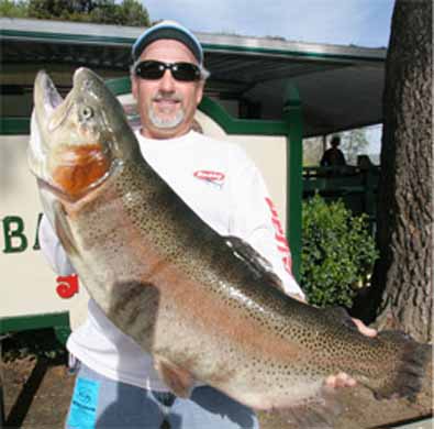 Big Fishes of the World: TROUT RAINBOW (Oncorhynchus mykiss)