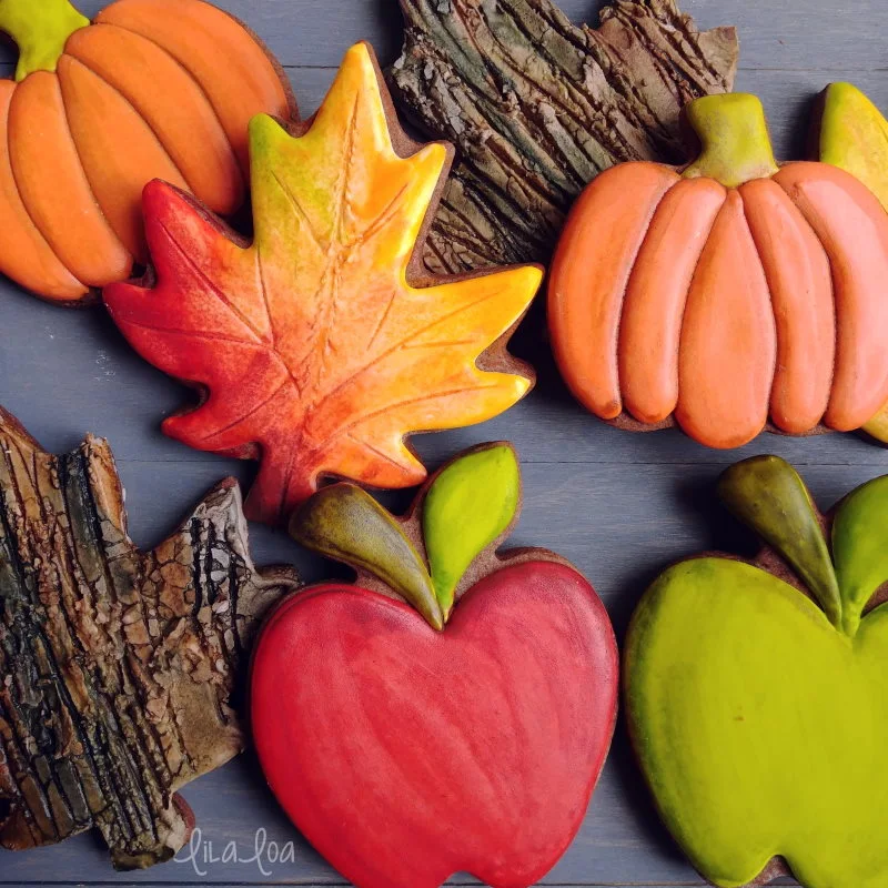 How to Make Decorated Textured Fall Cookies with Video Tutorial