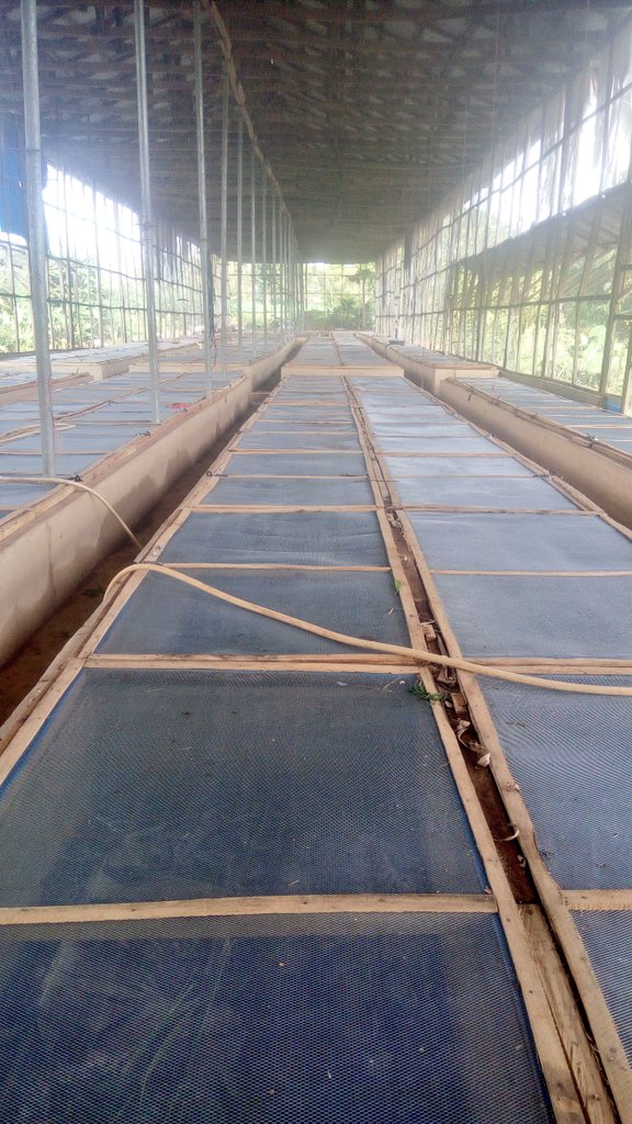 Snail farming is Profitable