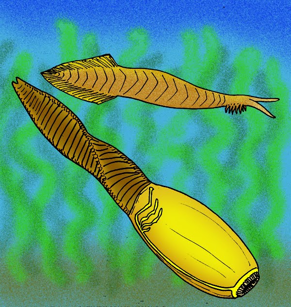 Banffia - Alchetron, The Free Social Encyclopedia